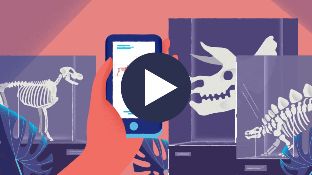 Top 10 Best Video Animation Agencies | TalentDesk